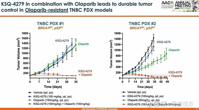 2022 AACR总结：最值得关注的小分子药物研发方向TOP10 2022年美国癌症研究协会（AACR）已然落幕，作为全球历史最悠久、规模最大 ...