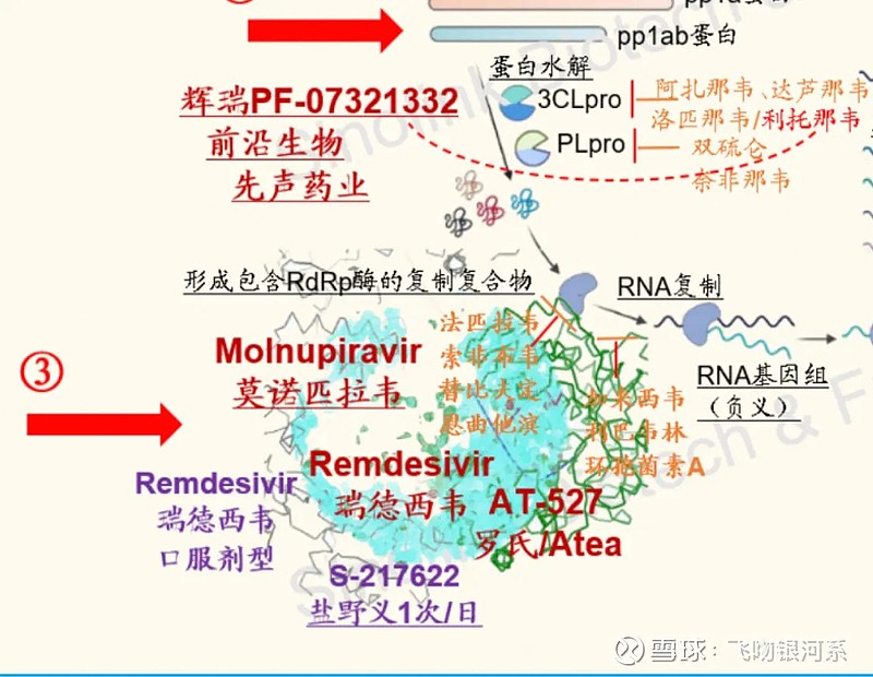 国产新冠特效药君实生物VV116产业链梳理独家梳理 (免责声明：以下内容均来自网络信息梳理，仅供参考。请勿私自转载。) 君实生物最近临床信息 ...