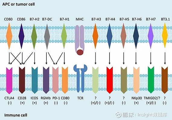 翰森制药之后，国内第 2 款 B7-H3 ADC 来了 4 月 15 日， 百奥泰 ADC 新药 BAT8009 获批临床。据官方资料显示，BAT8009 是一款靶向 B7H3... - 雪球