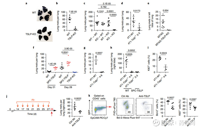 2022 AACR丨TSLP在研进展梳理 2022 AACR已经结束，回顾会议，针对TSLP靶点，各药企以及科研机构积极展示研究成果。作为一种 ...