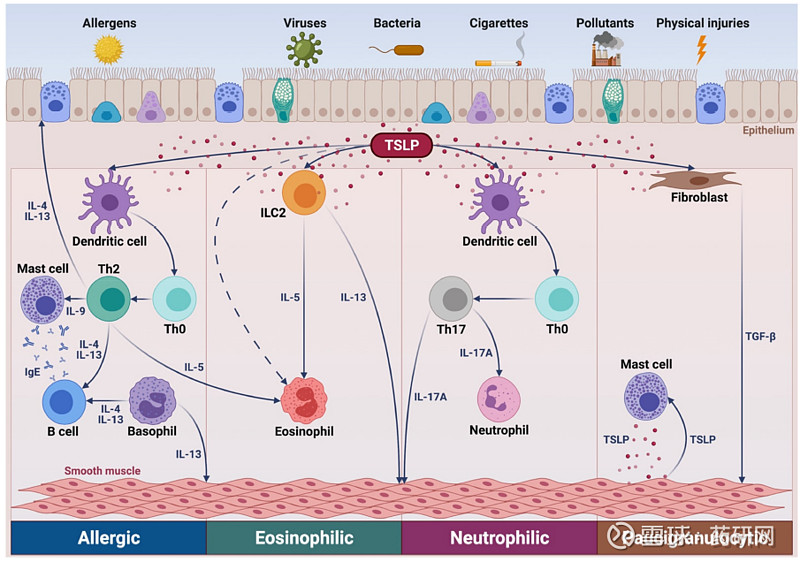 2022 AACR丨TSLP在研进展梳理 2022 AACR已经结束，回顾会议，针对TSLP靶点，各药企以及科研机构积极展示研究成果。作为一种 ...