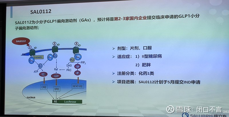 小分子GPL-1R激动剂--SAL0112 $信立泰(SZ002294)$ SAL0112是小分子GPL-1R激动剂，下面是 信立泰 公布的 ...