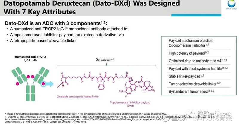 恒瑞的ADC到底能不能打？——是既往技术的优化，还是臣妾做不到的减效减毒 声明：由于本次思考学习的内容涉及过多的制药技术、工艺，而小编能力有限，许多内容只能源自个人既往积累知识的推测，难免有 ...