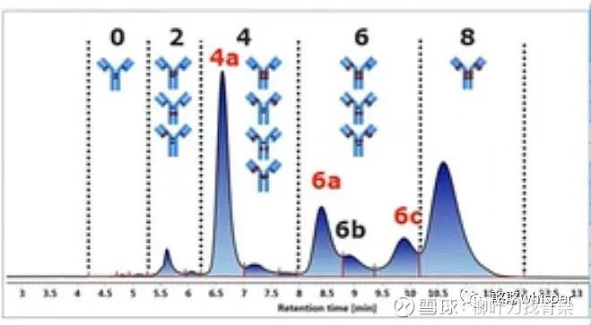 恒瑞的ADC到底能不能打？——是既往技术的优化，还是臣妾做不到的减效减毒 声明：由于本次思考学习的内容涉及过多的制药技术、工艺，而小编能力有限 ...