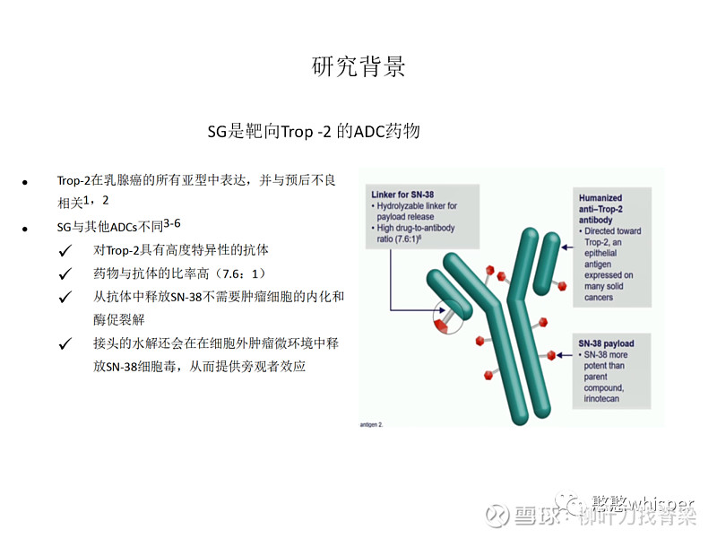 恒瑞的ADC到底能不能打？——是既往技术的优化，还是臣妾做不到的减效减毒 声明：由于本次思考学习的内容涉及过多的制药技术、工艺，而小编能力有限 ...