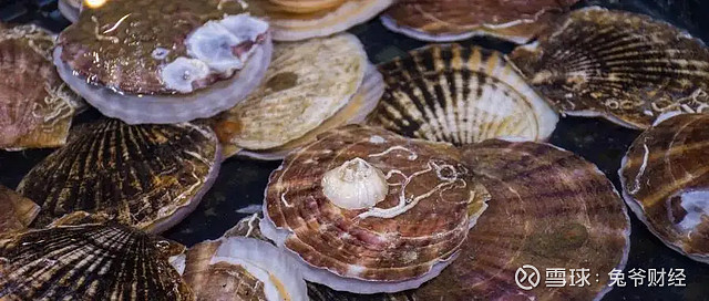 扇贝不争气6年逃跑4次 昔日渔业茅台獐子岛戴帽后一字跌停 五一假期结束，A股开市一片红彤彤。但喜气洋洋之下仍是几家欢乐几家愁，不仅有跌停的，更 ...