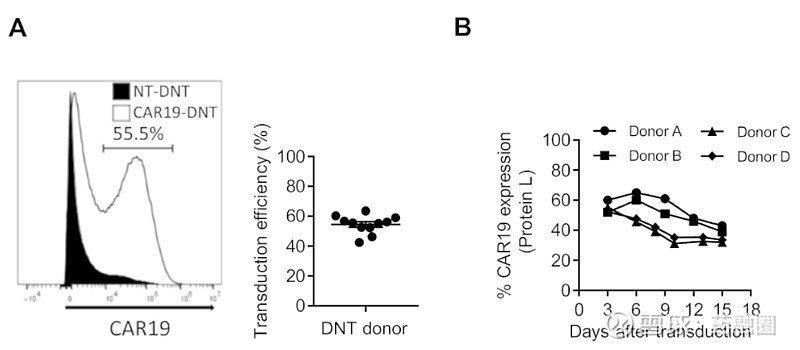 CAR-DNT，CAR-T通用化生产的新出路？ 声明： 因水平有限，错误不可避免，或有些信息非最及时，欢迎留言指出。本文仅作 医疗健康 相关 ...