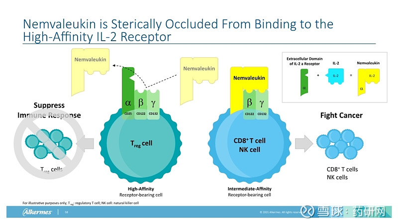 IL-2、IL-15丨老靶点重焕青春 交易回顾2018年， 百时美施贵宝 （BMS）36亿美元拿下Nektar的偏向性IL-2候选药 ...