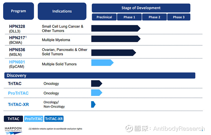 Harpoon更新BCMAxCD3和DLL3xCD3临床数据，股价涨幅20% 追溯 2022年5月中旬，Harpoon更新了主要管线 ...