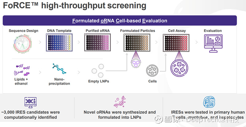 首个环状RNA入局者公布数据：已在动物模型中验证可根除癌症，计划2024年推进人体临床 2021 年 2 月，美国初创公司 Orna ...