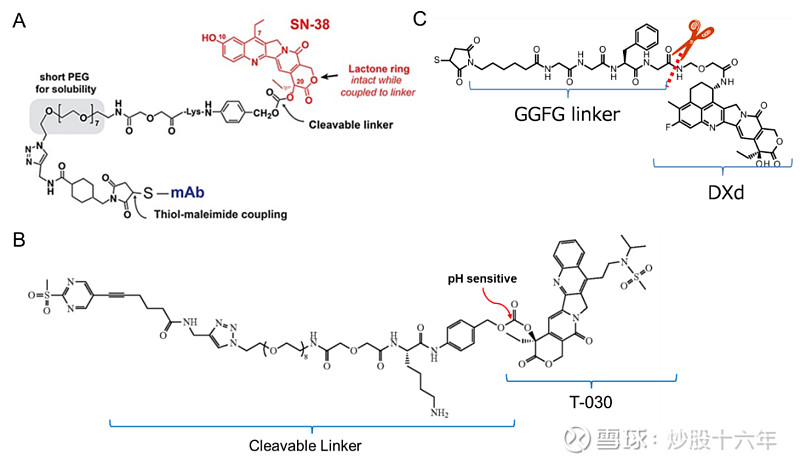 跨国大药企集体license in（TROP-ADC 前三大pk，孰优孰劣） 科伦药业 宣布与美国 默沙东 (MSD)签订协议，将具有自主知识产权的生物大分子肿瘤项目A的大中华区以外权益以 ...