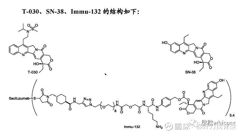 荣昌、科伦的ADC，一个蝴蝶飞不过沧海，一个隐而不发为哪般？ 最近做了件有生之年的事情，生平第一次到欧洲的专利网站（其他平台网友提供的）通过 ...