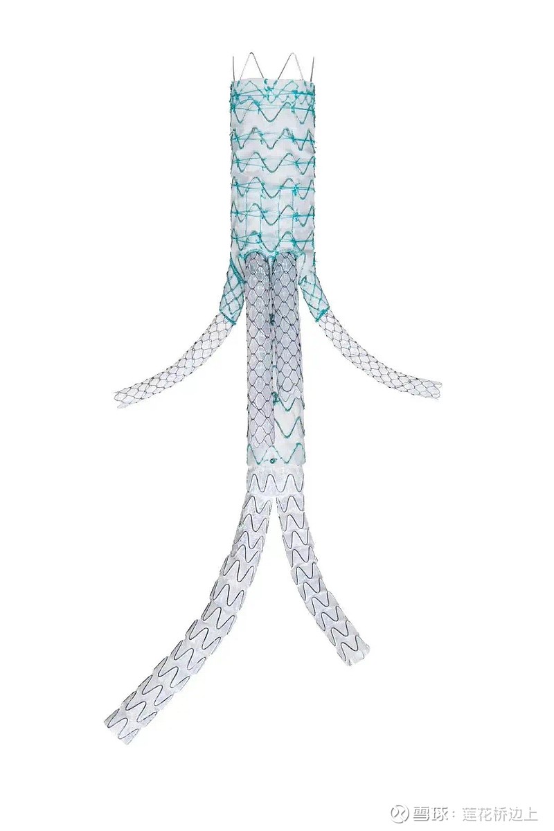 G-Branch™荣获第二届年度Frank J. Veith国际协会“血管与腔内血管治疗创新奖”一等奖 Frank J. Veith ...