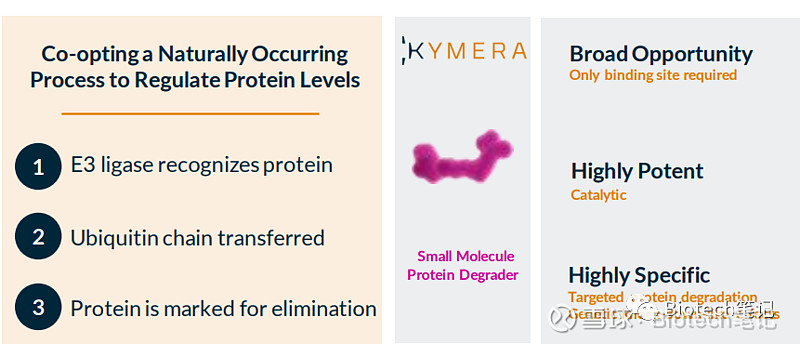 Kymera的IRAK4药物数据亮眼，但是并没有把PROTAC带出泥潭 Kymera Therapeutics , Inc.( 纳斯达克 ...