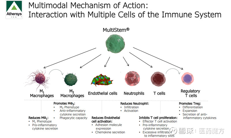 干细胞疗法治疗缺血性卒中II/III期临床未达到主要终点 5月20日， Athersys 宣布，其合作伙伴Healios公司的干细胞治疗产品MultiStem (invimest... - 雪球