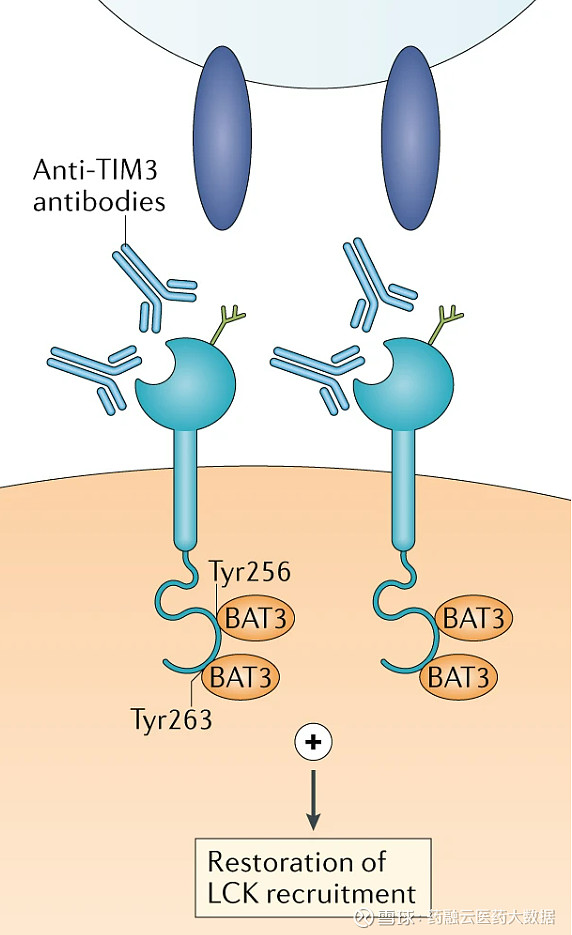阿斯利康:PD1/TIM3双抗报临床！国内仅1家布局 引言2022年5月24日，药审中心承办了 阿斯利康 的1类生物制品AZD7789的临床 ...
