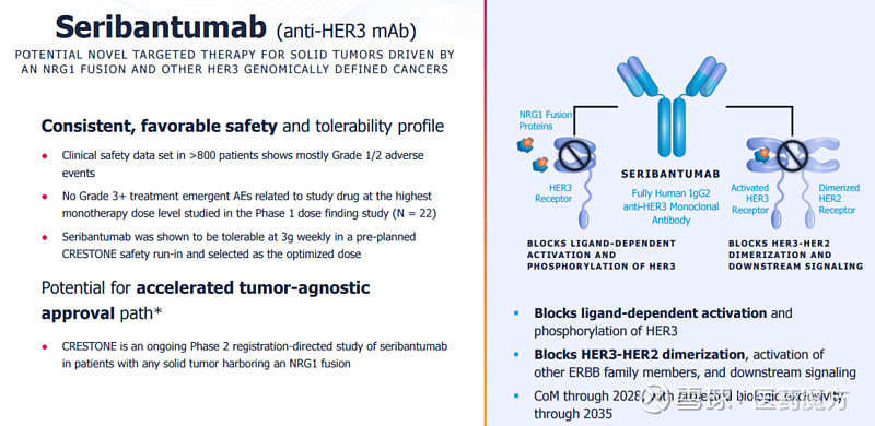 HER3单抗治疗NRG1基因融合实体瘤获FDA快速通道资格，将在ASCO公布临床数据 5月25日， Elevation Oncology 宣布 ...