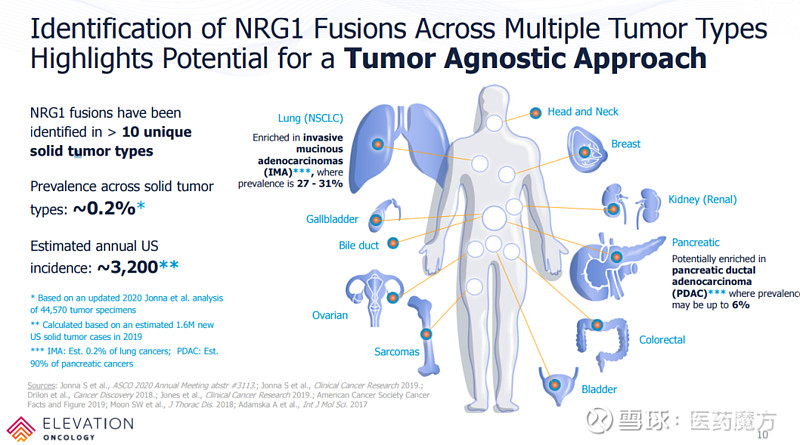 HER3单抗治疗NRG1基因融合实体瘤获FDA快速通道资格，将在ASCO公布临床数据 5月25日， Elevation Oncology 宣布，美国FDA已经授予该公司HER3单抗 ...