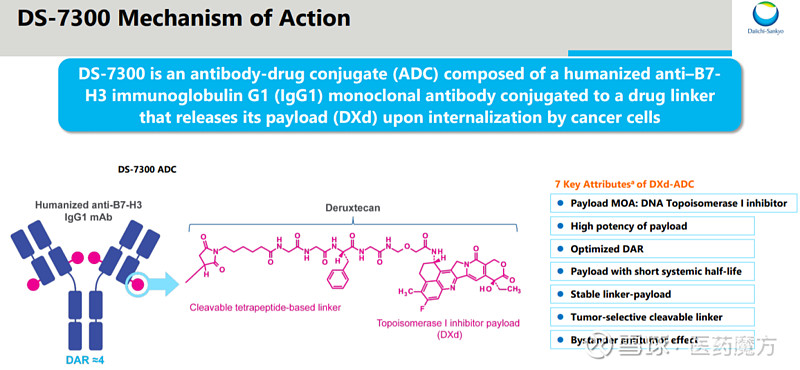 国内第2款！第一三共CD276 ADC申报临床 5月26日，第一三共靶向CD276的抗体偶联药物（ADC）DS-7300a（DS-7300）在 ...