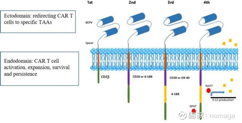 TCR-T VS CAR-T，细胞疗法 “好兄弟”（转） 邻家老三 导读肿瘤，一种机体自身细胞失去调控而异常生长引起的疾病，随着科学的发展 ...