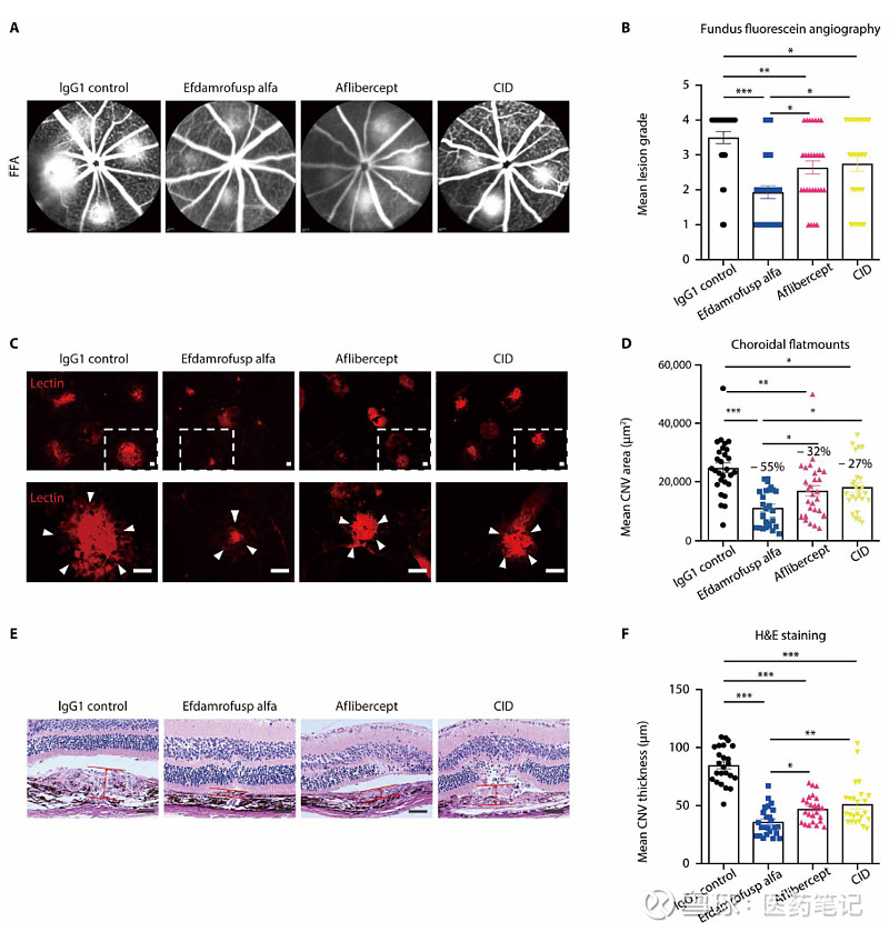 Science：信达生物VEGF/CR1融合蛋白IBI302 2022年6月1日， 信达生物 在Science Translational ...