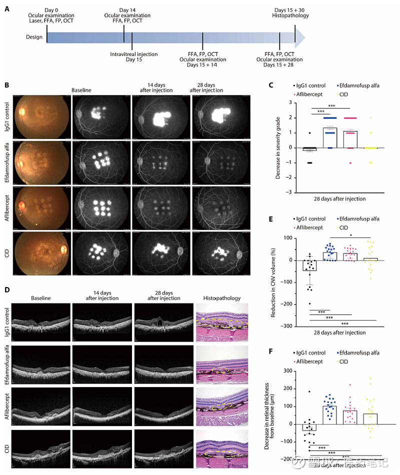 Science：信达生物VEGF/CR1融合蛋白IBI302 2022年6月1日， 信达生物 在Science Translational ...