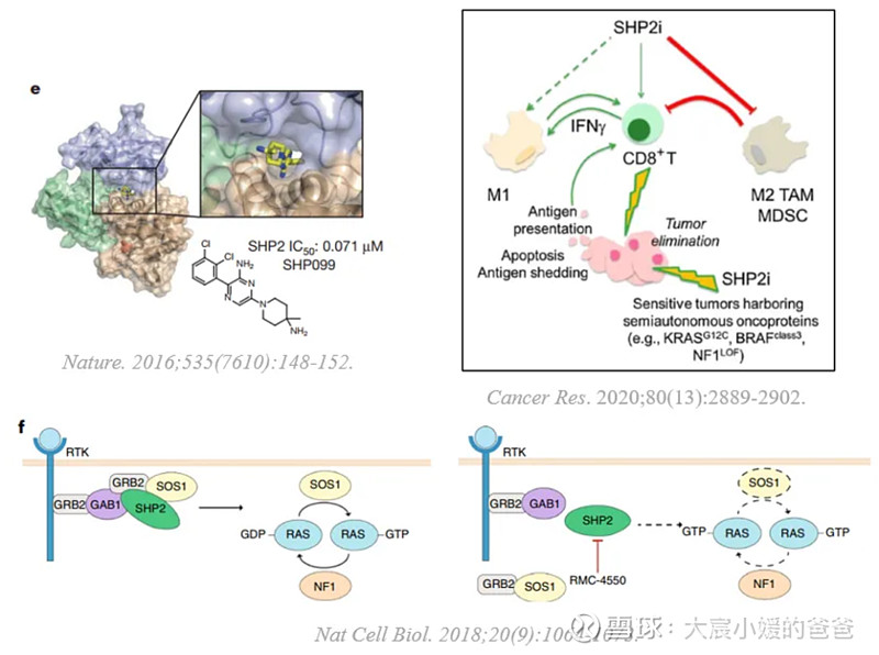 $加科思-B(01167)$ KRAS突变与肿瘤来源： 医药魔方KRAS突变和KRAS扩增在CRC（美国~45%，中国~... - 雪球