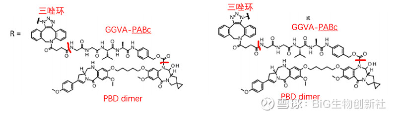 “穷则思变”——Dxd之后，第一三共进军高毒素payload领域 第一三共DS-8201亮相2022 ASCO大会，在HER-2低表达人群中 ...