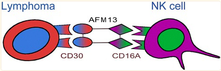 CD20之外，其余10个血液瘤双抗热门靶点 2022年6月8日，罗氏宣布Lunsumio® (mosunetuzumab)获得欧盟附加条件上市许可，成为全球第一个上... - 雪球