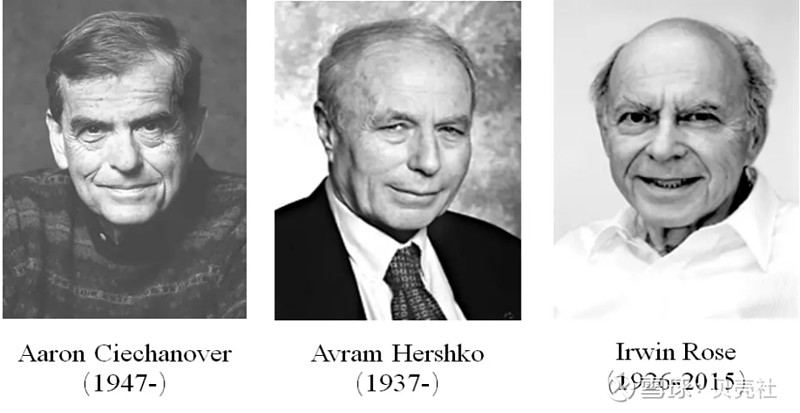 肿瘤治疗新突破：PROTAC技术降解PD-L1 小分子药物潜在的重磅研发利器PROTAC(蛋白降解靶向嵌合体)技术与免疫检查点抑制剂，似乎是两 ...