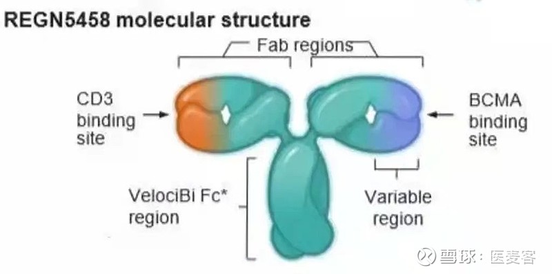 哪家更胜一筹？杨森公布双抗最新临床数据，4款同类候选产品PK 2022年6月14日/医麦客新闻 eMedClub News/--近日， 强生 ...
