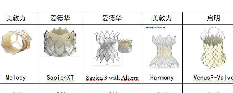 TPVR：国产瓣膜出海的希望？ 近期，TPVR (经导管肺动脉瓣置换)领域好不热闹。先是首款国产肺动脉瓣VenusP-Valve获批CE登陆 ...