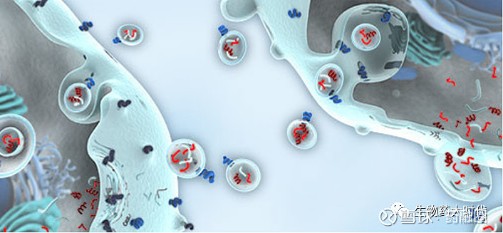 外泌体：细胞圈的“顺丰快递” 注：本文不构成任何投资意见和建议，以官方/公司公告为准；本文仅作 医疗健康 相关药物介绍，非治疗方案推荐（若涉及 ...