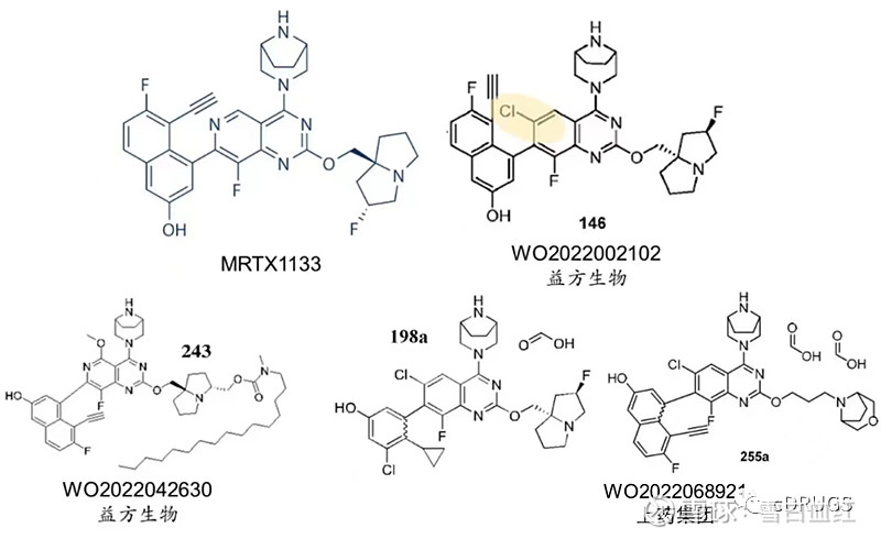 转：$加科思-B(01167)$ KRAS G12D抑制剂的专利公开了，多少胰腺癌患者就指望这个了 2022年5月27日... - 雪球