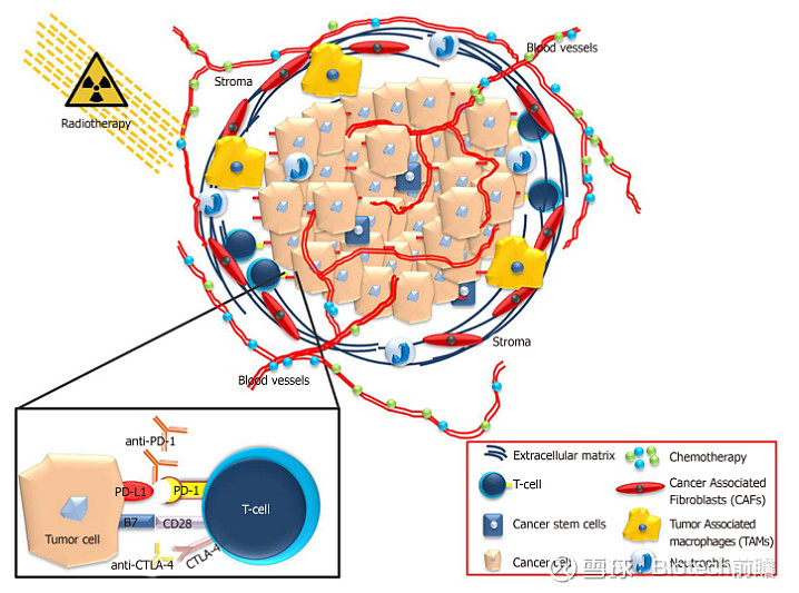 2022ASCO丨KN046在胰腺癌领域的探索 是故事者生于虑，成于务，失于傲。不虑则不生，不务则不成，不傲则不失。 ——《管子·乘马》承启上 ...