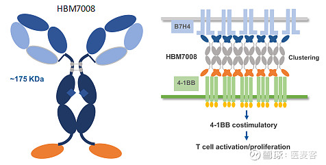 全球首款！和铂医药B7H4/4-1BB双抗在美获批IND! 2022年6月28日/医麦客新闻 eMedClub News/--今日，美国食品 ...