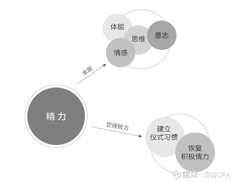 投资者的精力管理 继续我的读书分享之旅,上期投资中的成长性思维。本次分享《精力管理》,本书作者吉姆·洛尔是美国心理学家和精力管理训练专家, 雪球