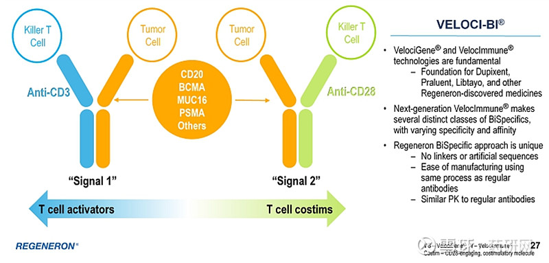 CD20xCD3双抗梳理 近日，罗氏宣布FDA已接受其CD20xCD3双抗Mosunetuzumab（Lunsumio®）治疗非霍奇金淋巴瘤的 ...