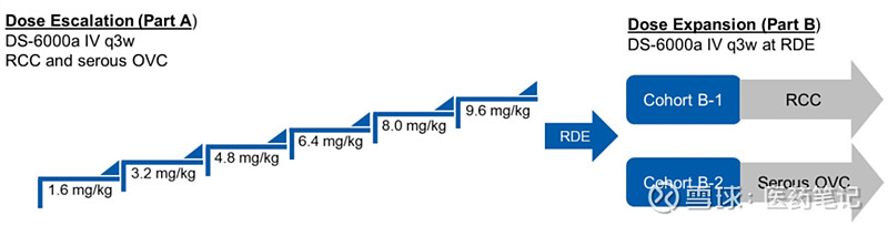 第一三共布局：ADC又一潜力靶点CDH6 CDH6 ，又名K-钙黏蛋白，属于II型钙粘蛋白，由三个不同结构域组成，一个含有五个钙粘蛋白序列的胞 ...