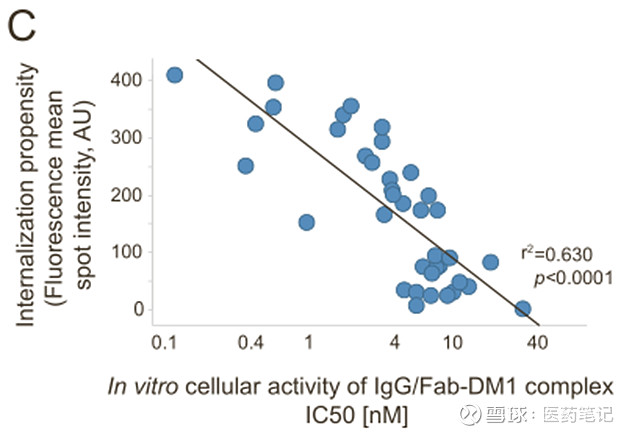 第一三共布局：ADC又一潜力靶点CDH6 CDH6 ，又名K-钙黏蛋白，属于II型钙粘蛋白，由三个不同结构域组成，一个含有五个钙粘蛋白序列的胞外结构域（ECD），... - 雪球