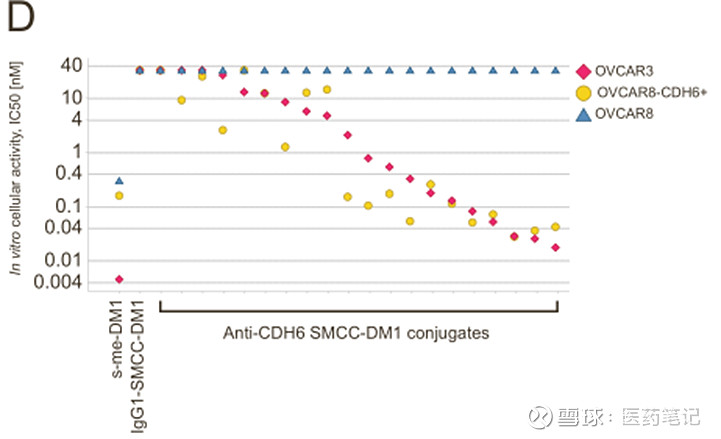 第一三共布局：ADC又一潜力靶点CDH6 CDH6 ，又名K-钙黏蛋白，属于II型钙粘蛋白，由三个不同结构域组成，一个含有五个钙粘蛋白序列的胞 ...