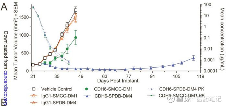 第一三共布局：ADC又一潜力靶点CDH6 CDH6 ，又名K-钙黏蛋白，属于II型钙粘蛋白，由三个不同结构域组成，一个含有五个钙粘蛋白序列的胞外结构域（ECD），... - 雪球