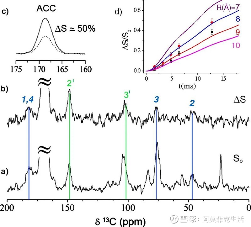 美国科学院院报（PNAS）：生物活性纳米成分 ACC「无定形钙」生物利用度更高 背景一些甲壳类动物，特别是淡水小龙虾，通过稳定水库器官——胃石内的无定形碳酸钙 (ACC) 来维持生物可利用的钙 ...