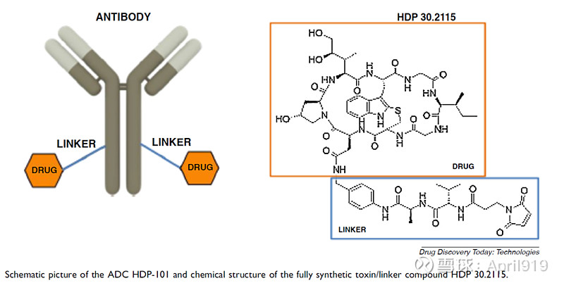 ADC另类毒素α-鹅膏蕈碱浅析 大概今年二月份时候，$华东医药(SZ000963)$ 华东医药 通过投资入股拿到了德国Heidelberg ...