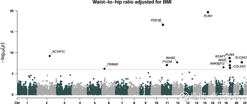 进军减肥市场！Alnylam官宣siRNA疗法新方向 7月27日，Alnylam宣布开发靶向INHBE的siRNA疗法，用于治疗肥胖。7月27 ...