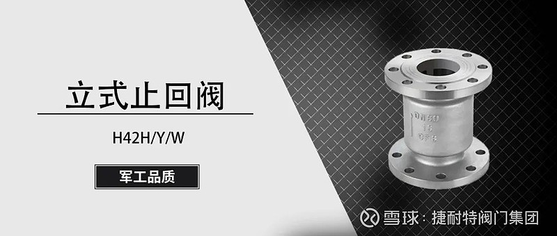 捷耐特产品推荐：H42H/Y/W立式止回阀 产品概述：H42H立式止回阀是阀瓣沿着阀体中心线滑动的阀门，具有结构简单，零部件少，加工工艺性好的特点。该立式止回阀流道... - 雪球