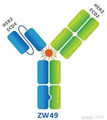 双抗ADC：在“万物皆可偶联”时代回归抗体偶联 2022年8月16日/医麦客新闻 eMedClub News/--ADC药物（antibody ...