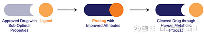 前抗体药物(Probody)，更安全是否意味着更有效？ 图一. 前药（Prodrug）的概念。（引用来源：PRODRUG TECHNOLOGY ...