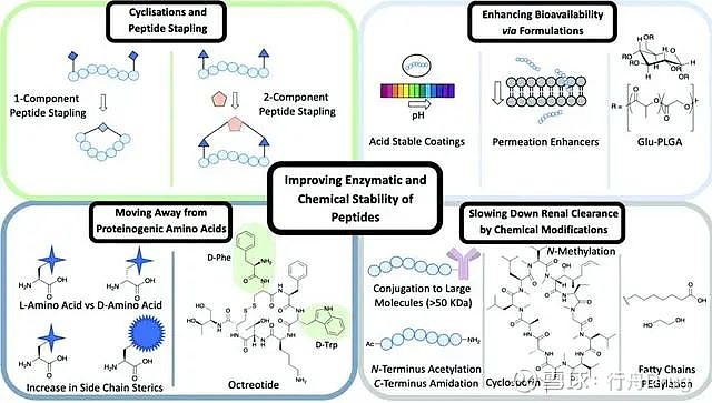多肽偶联药物（PDC）研究进展 点击上方的 行舟Drug 添加关注 摘要 本文围绕PDC药物的背景，设计原则，药物改进与未来发展四个方面阐述了 ...