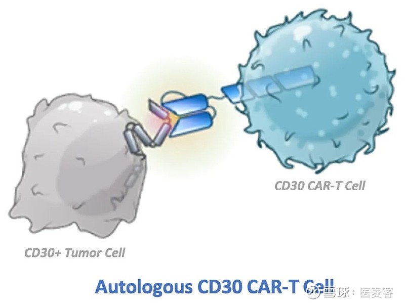 CAR-T联合疗法又迎“新战绩”，Tessa完成复发/难治性霍奇金淋巴瘤首例患者给药 2022年8月19日/医麦客新闻 eMedClub ...